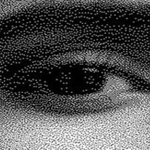 STOCHASTIC SCREENS FOR SCREEN PRINTING