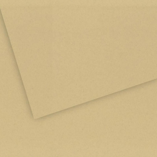 CANSON C A GRAIN PAPER SHEETS 250 G GREY AND OCHRE TONES